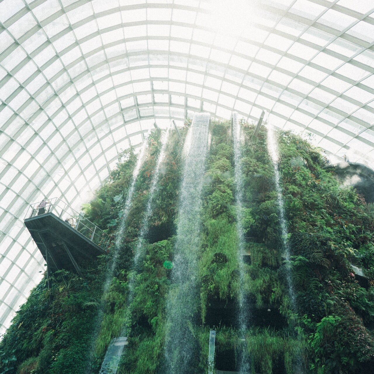 Home - Alium Capital Management