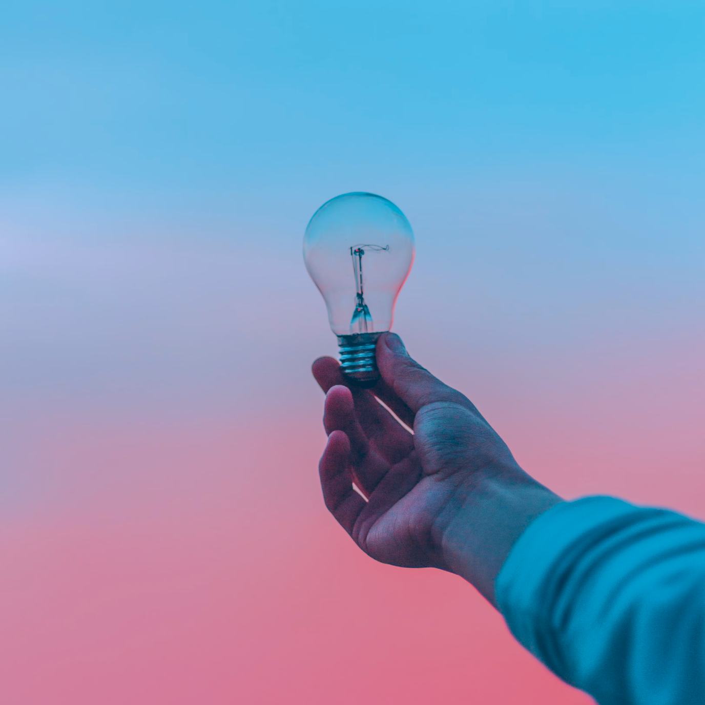 Home - Alium Capital Management